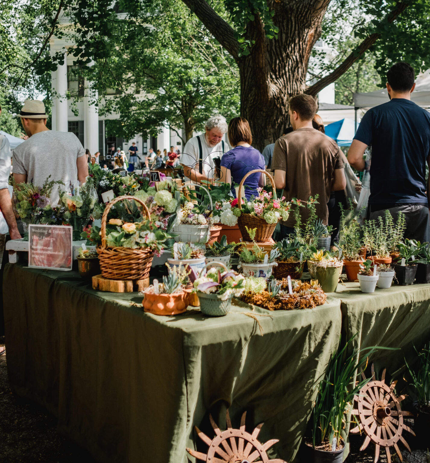 Everything Local SA – Home of South African Brands & Influencers